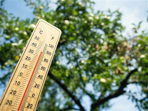 How I Built A Temperature Converter In Python A Beginners Guide By