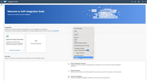 Grant Users Access To Open Connectors Capability Sap Community