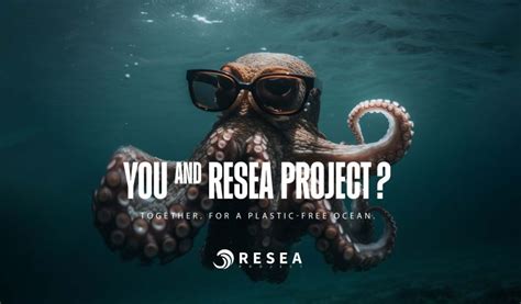 Mads Kjeldgaard Oddershede On Linkedin We Are Currently Seeking A Motivated And Detail Oriented