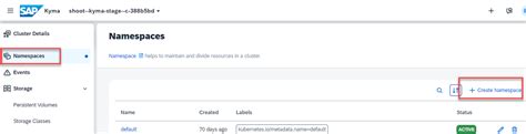 Provisioning Sap Hana Cloud Databases From Kyma An Sap Community