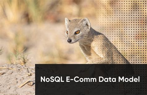building a nosql e commerce data model r database