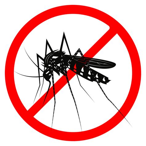 Mosquito Pngs For Free Download