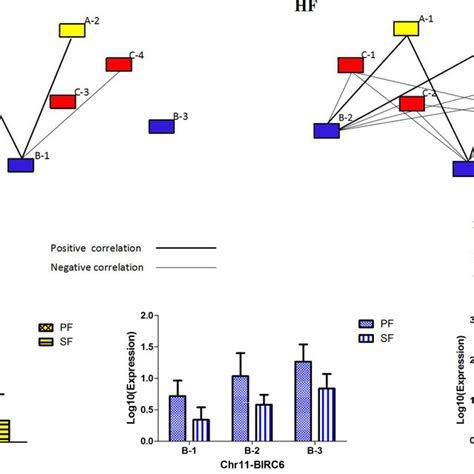The Co Expression Network Of Differentially Expressed Exons A Nodes