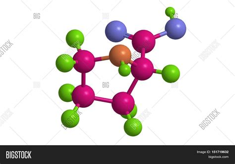 Structure Of Proline