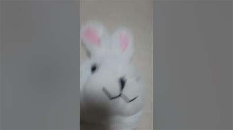 토끼 인형 이름 추천 Youtube