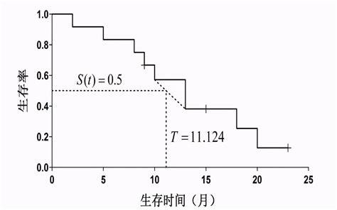 95置信区间的含义生存曲线的估计方法(2):生存率的95置信区间 Csdn博客 95置信区间的含义生存曲线的估计方法(2):生存率的95置信区间 Csdn博客