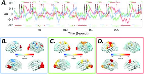 Temporal And Spatial Profiles Of Estimated External Inputs Associated Download Scientific