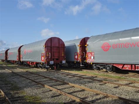 Lancez Votre Carrière Sur De Bons Rails Avec Ermewa Group Linterview De David Zindo