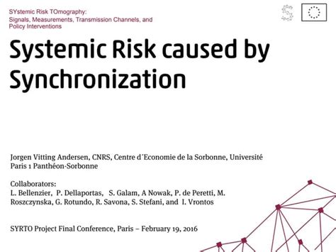 Systemic Risk Caused By Synchronization Ppt