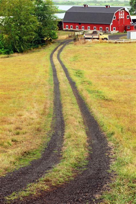 картинки пейзаж дерево трава трек Дорога поле ферма лужайка фотография луг дождь