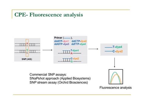 Snp Genotyping Technologies