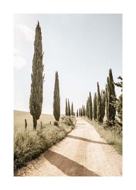 골드 프레임에 녹색 테마가 고풍스럽게 어우러진 감각적인 주방용 갤러리월