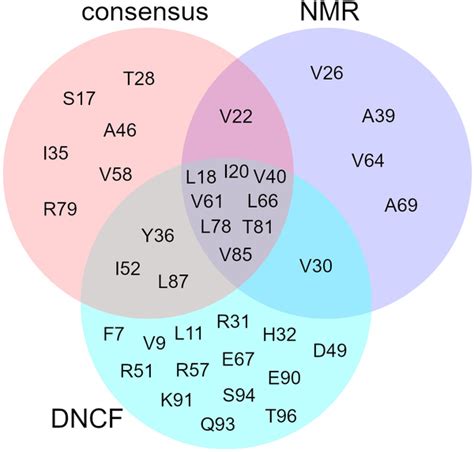 Protein Structure Networks Plos One