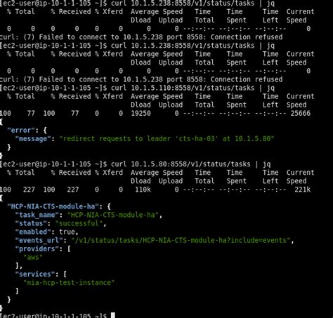 Consul Terraform Sync 07 Adds High Availability And Redundancy