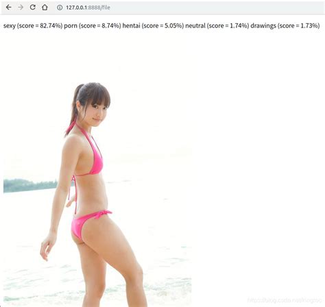 Tensorflow图片鉴黄 完整项目 Tensorflow鉴黄 Csdn博客