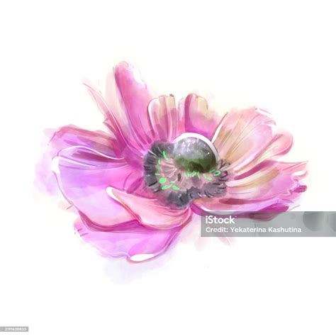 핑크 아네모네 분리 봄의 섬세한 꽃 플로럴 프린트 마커 그리기 결혼식 및 생일 구성용 인사말 카드입니다 손으로 그린 수채화 벡터