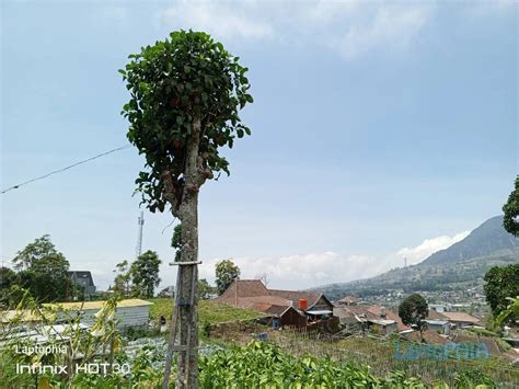 Review Infinix Hot Smartphone Sejutaan Tampil Mewah Dengan Fitur Lengkap Laptophia