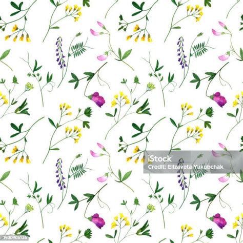 수채화 야생화와 허브 원활한 패턴 직물 벽 덮개 엽서 초대장 스크랩 북 용 종이를위한 디자인 0명에 대한 스톡 벡터 아트 및