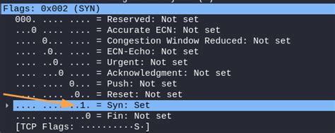 Nmap Les Scans De Port Via Tcp Syn Connect Et Fin
