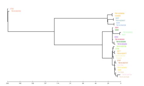 bioinformatics and other bits comparison of snp detection using