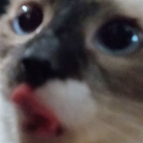 Techtutorials Youtube