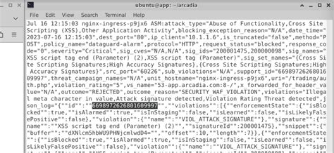 Xss Attack Test — Nginx App Protect In K8s 01 Documentation