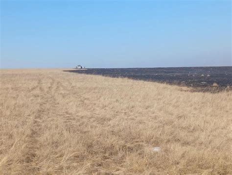 Галд өртсөн малын сэг зэмийг устгах ариутгал халдваргүйтгэл хийх ажлын хэсгийг байгуулжээ Jim Mn