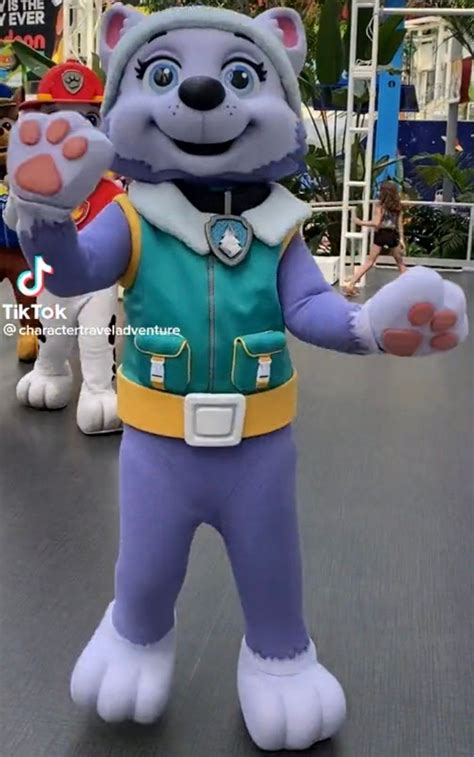 Everest Paw Patrol Artofit