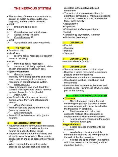 Neuro Notes Pdf Central Nervous System Nervous System