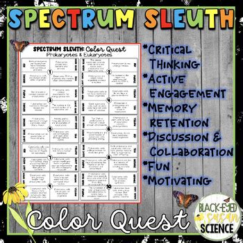 PROKARYOTES EUKARYOTES Spectrum Sleuth Color Quest Color By Code