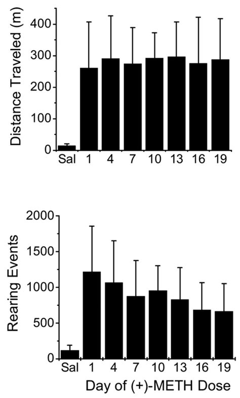 Sex Differences In Amphetamine And Methamphetamine Induced
