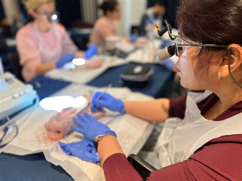 Master Implant Soft Tissue Augmentation With Edudent Dentistry