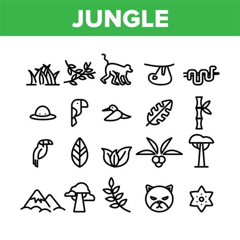 Jungle Forest Collection Elements Icons Set Vector 9924754 Vector Art