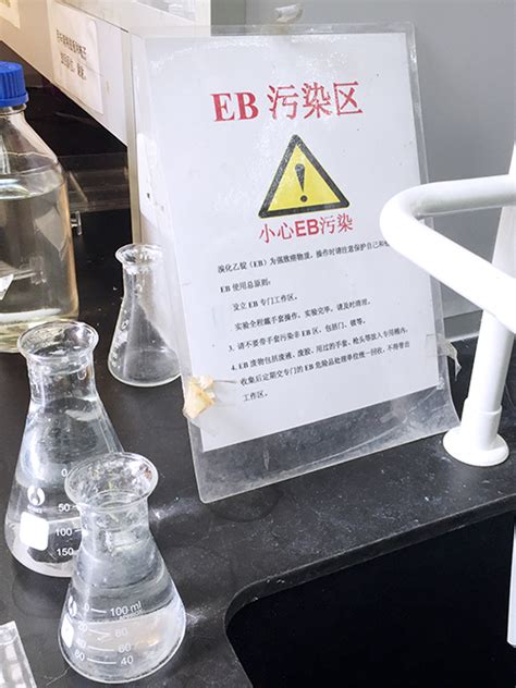 team sysu software safety