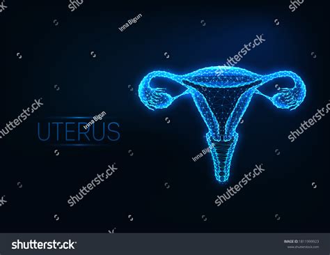 Female Body Mesh Stock Photos Images Shutterstock