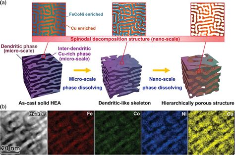 Construction Of A Hierarchically Porous Structure Of The Feconicu Hea Download Scientific