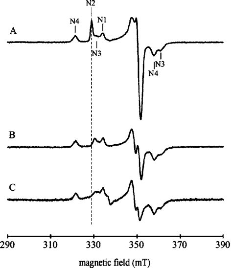 Epr Spectra Of Complex I Isolated From The Strain Rescued By Wild Type Download Scientific