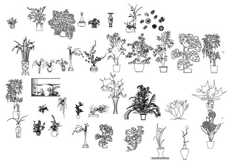 Beautiful Leaf Tree Plant Elevation Block Drawing Details Dwg File Cadbull