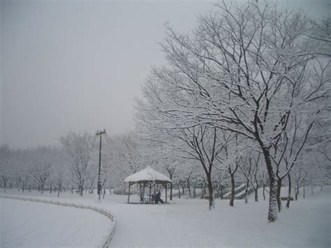 스크랩 가장 빛나는 별은~