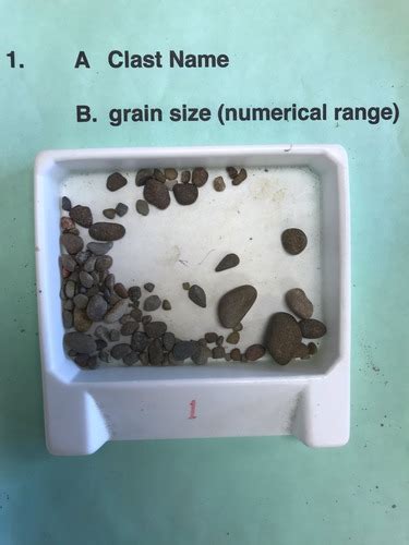 Sedimentary Rocks 1 Flashcards Quizlet Sedimentary Rocks 1 Flashcards Quizlet