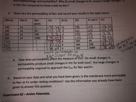How Does Permeability Affectthe Measure Of Vm Do