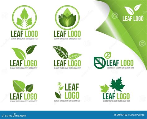 Collection Of Ecology Logo Symbols Organic Green Leaf Vector Design