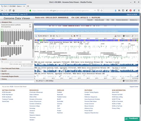 Genome Data Viewer Genome Browser For Exploration And Analysis Of Eukaryotic Refseq Genome