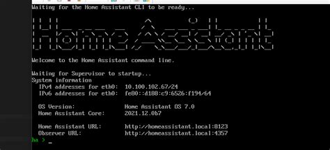 How To Set Username And Password For Home Assistant Console Configuration Home Assistant