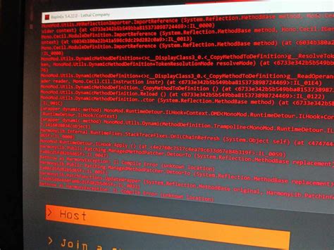 My Friends Mods Not Working Rlethalcompanymods