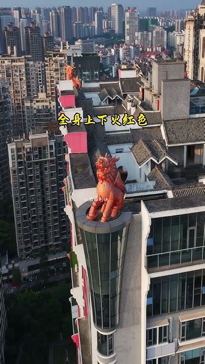 太不可思议，在都市的一栋商务大楼顶，四角有麒麟四兽守着，这老板也太懂了！四合院 Travel Youtube