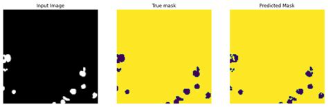 Github Hazirafidip4 Cell Nuclei Detection Via Semantic Segmentation Semantic Segmentation