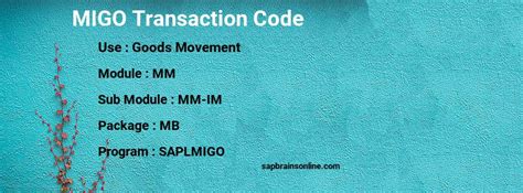 Migo Sap Tcode For Goods Movement