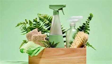 Sustainable Cleaning Practices Cleany Miami