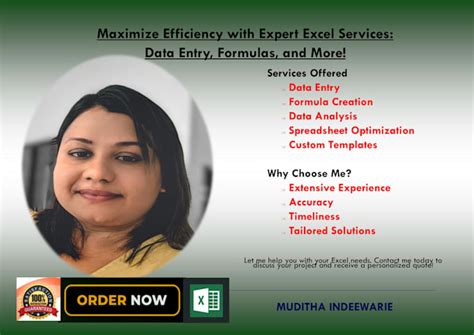 Do Professional Excel Data Entry And Formula Creation By Indeewarie14a